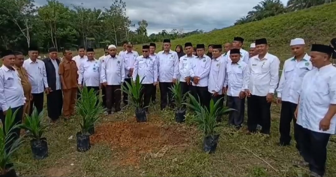 Kemenag Aceh Tamiang Tanam Pohon Sawit di Tanah Wakaf Produktif, Target 1000 Batang - Sumber ...