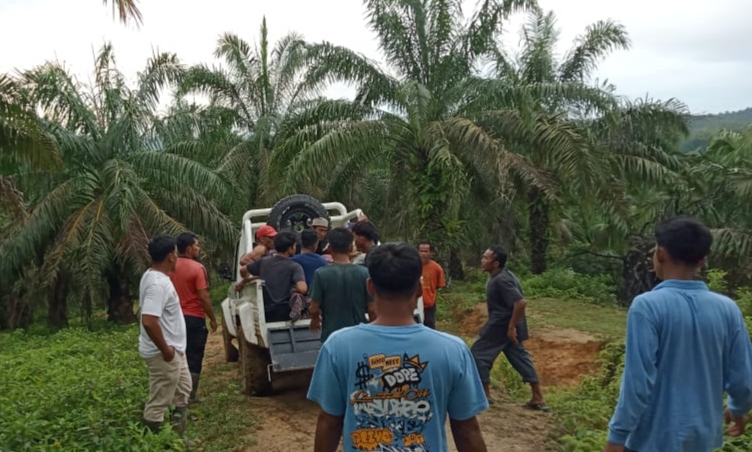 Tersambar Petir, Dua Warga Kejuruan Muda Ditemukan Meninggal Dunia di Areal Perkebunan Sawit ...